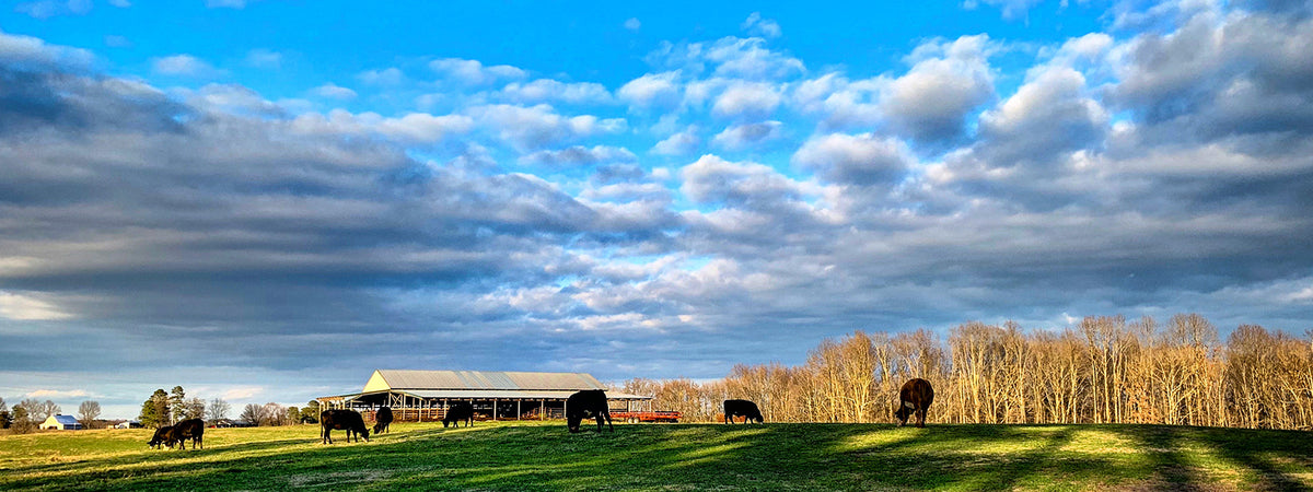 Heritage Hills Farmstead - Rising Above "Organic"