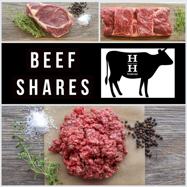 Grass Fed Bulk Beef Shares - HH Farmstead